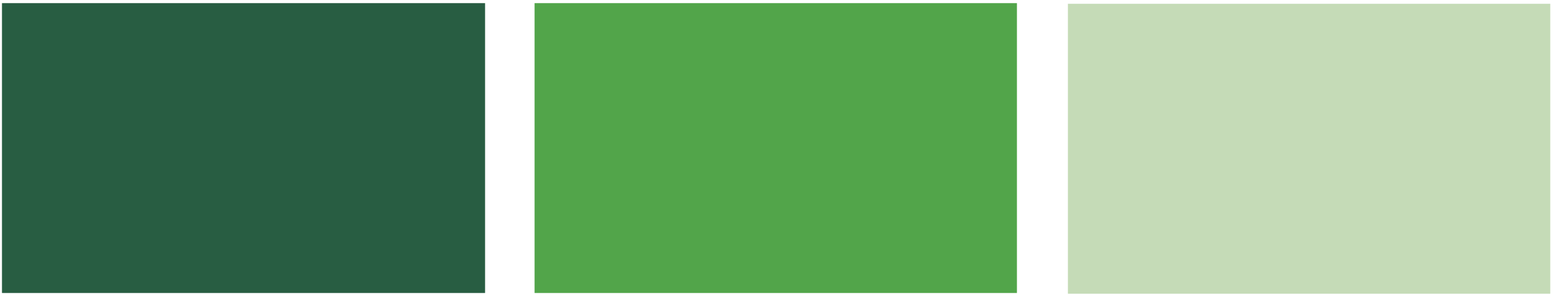 The green color | LM Identity manual