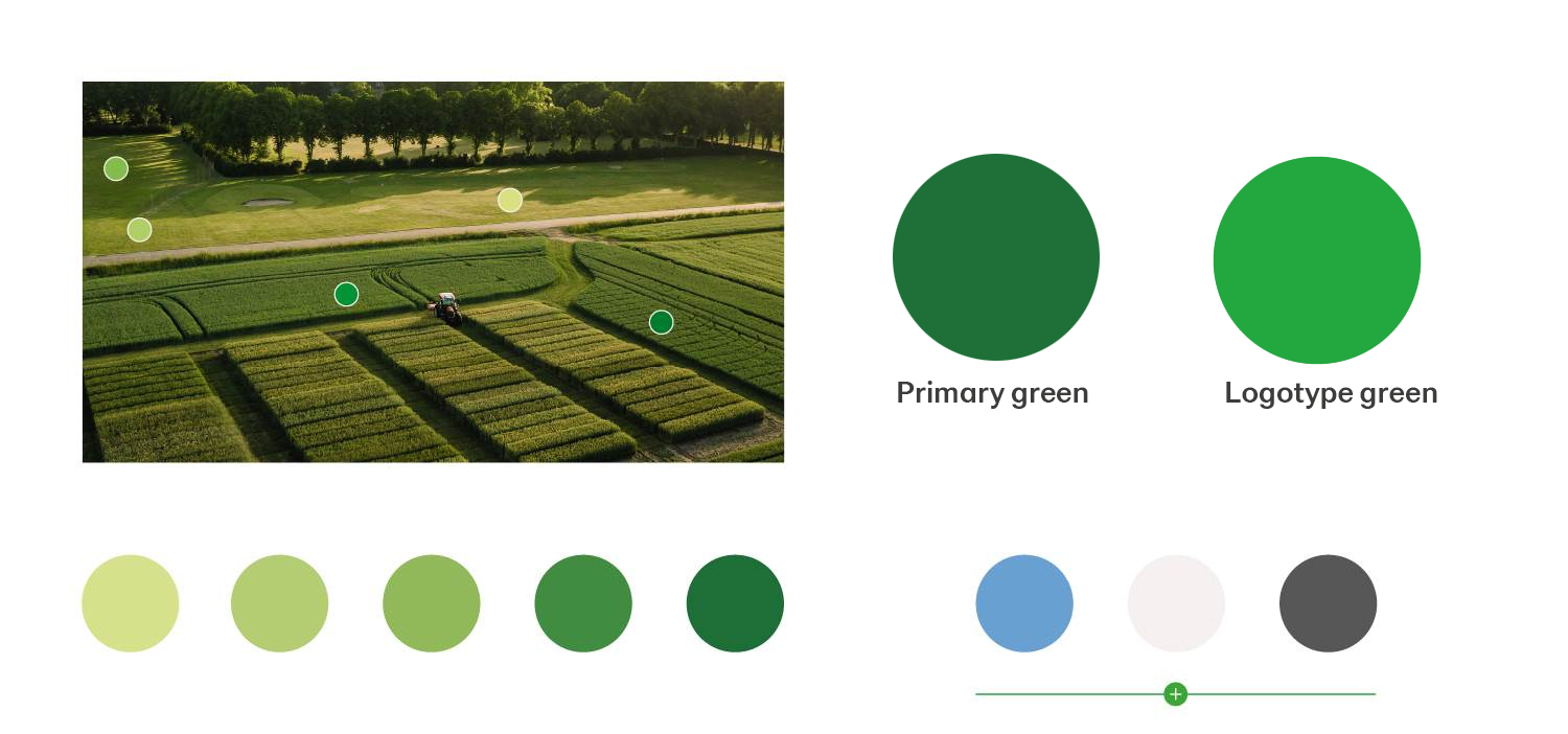 This is the core of our visual identity | LM Identity manual